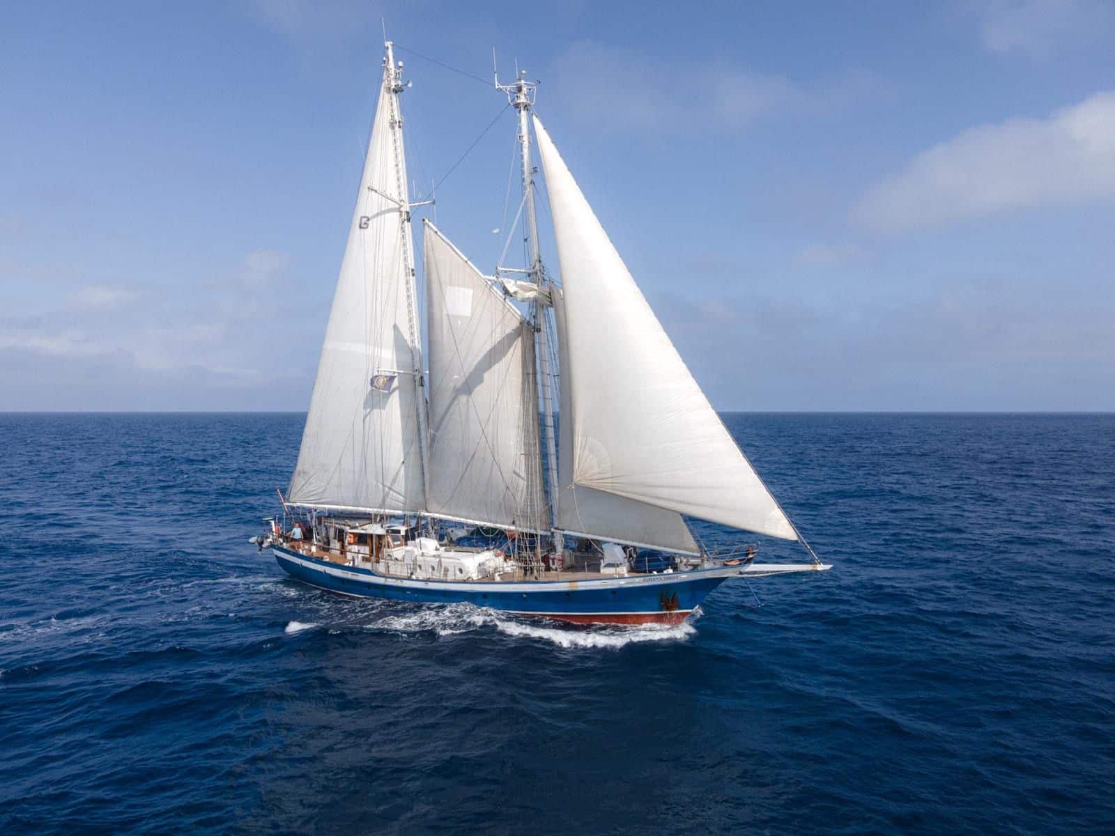 Our ships - Ocean College
